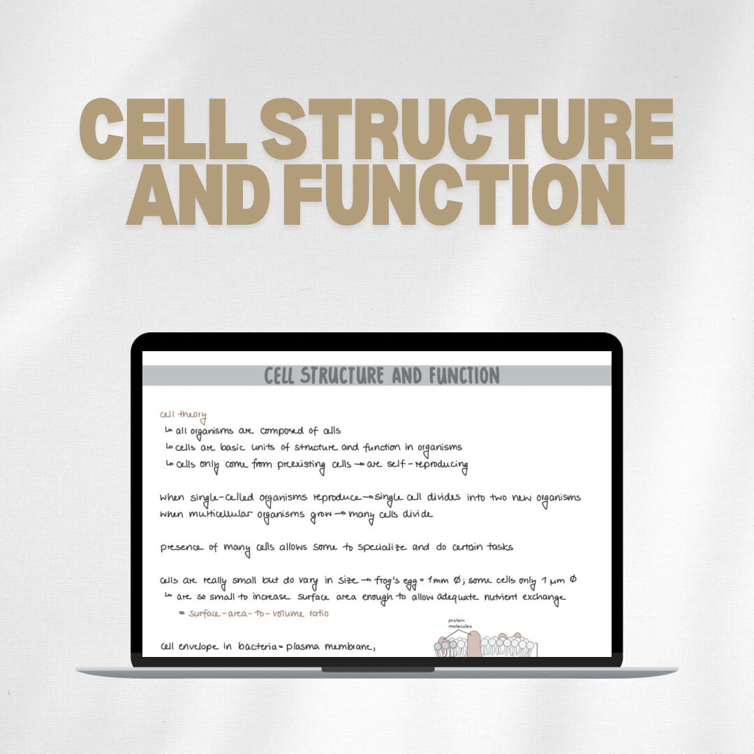 Cell Structure and Function Study Notes for Introductory Biology ...