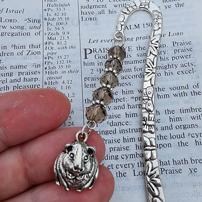 Hamster Bookmarks - Etsy