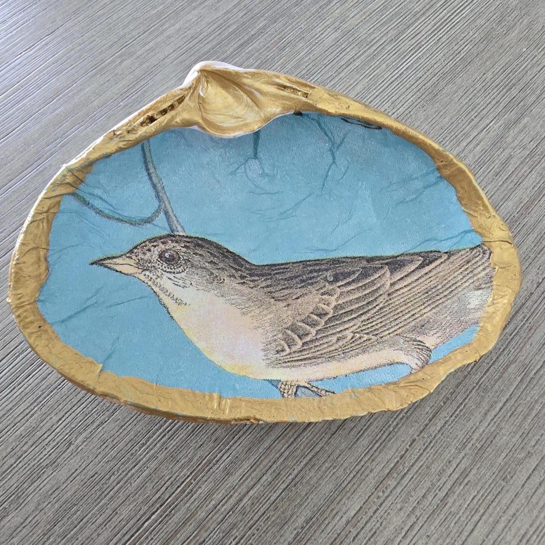 Decoupage Bird Shell Clam Shell Trinket Dish - Etsy