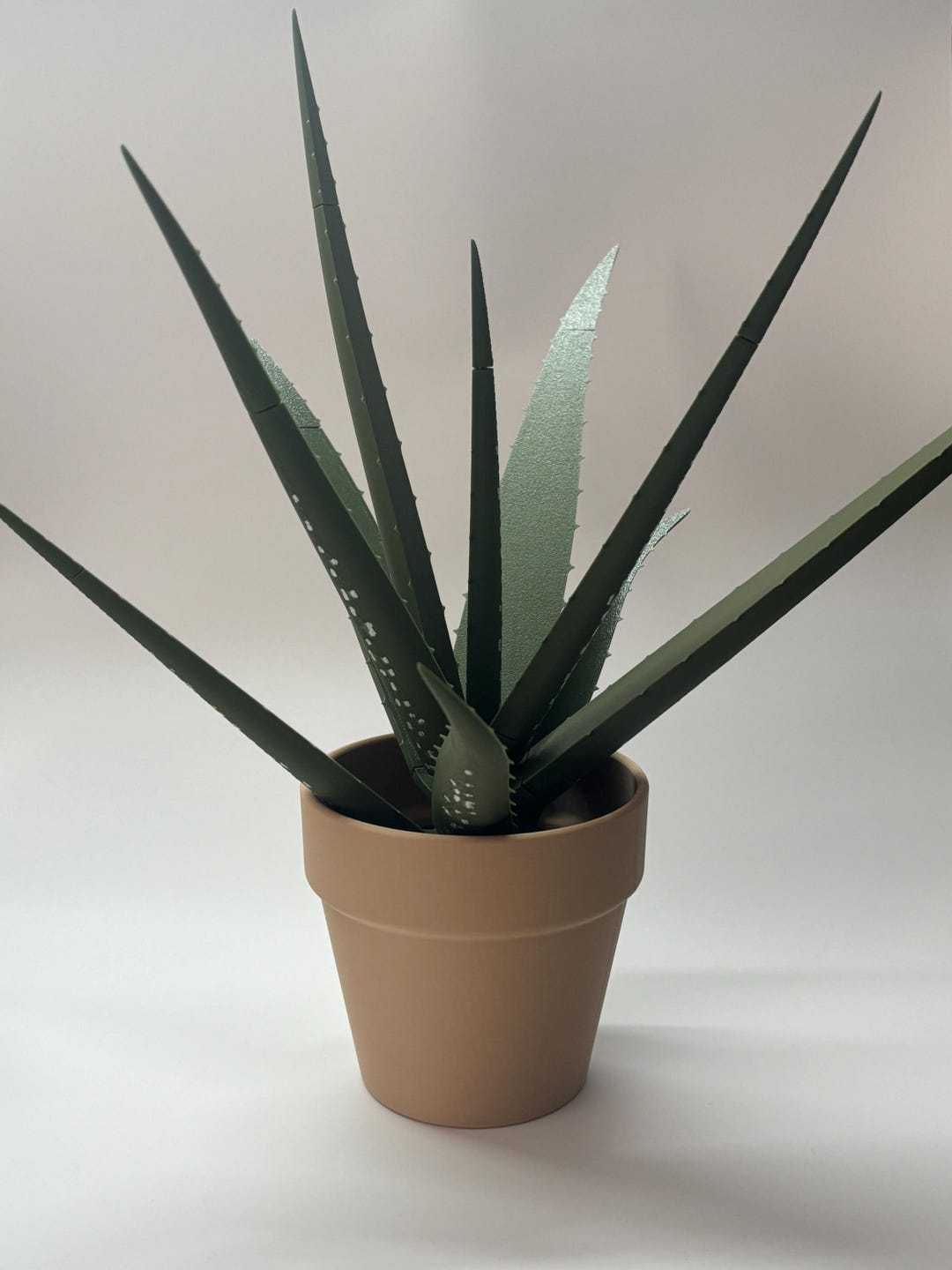 3D Printed Aloe Vera Pen Plant | Office Desk Organizer, Teacher Gift - Etsy