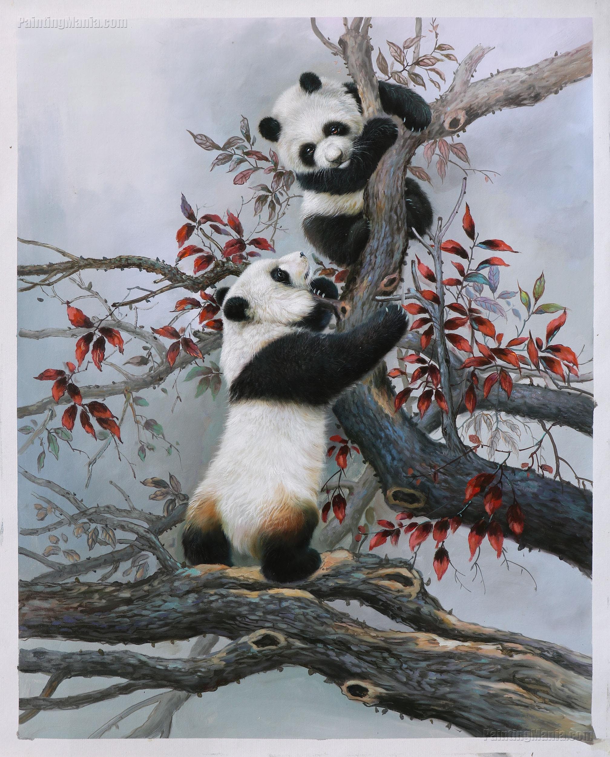 Chinese Panda Painting