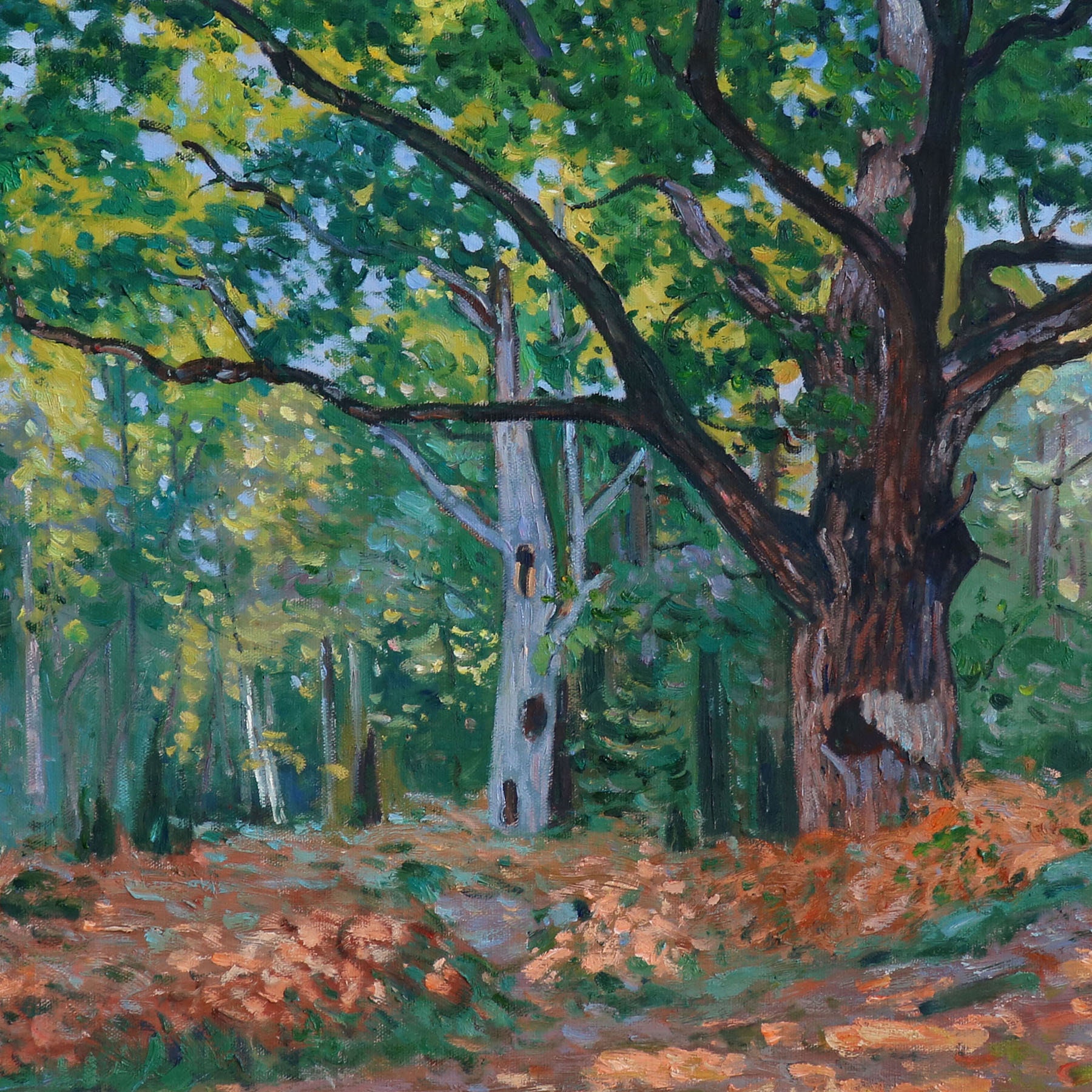 The Bodmer Oak Fontainebleau Forest Claude Monet - Etsy