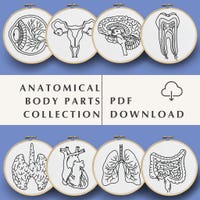 Embroidery Bundle - Human Anatomy Patterns PDF, Video Tutorials ...