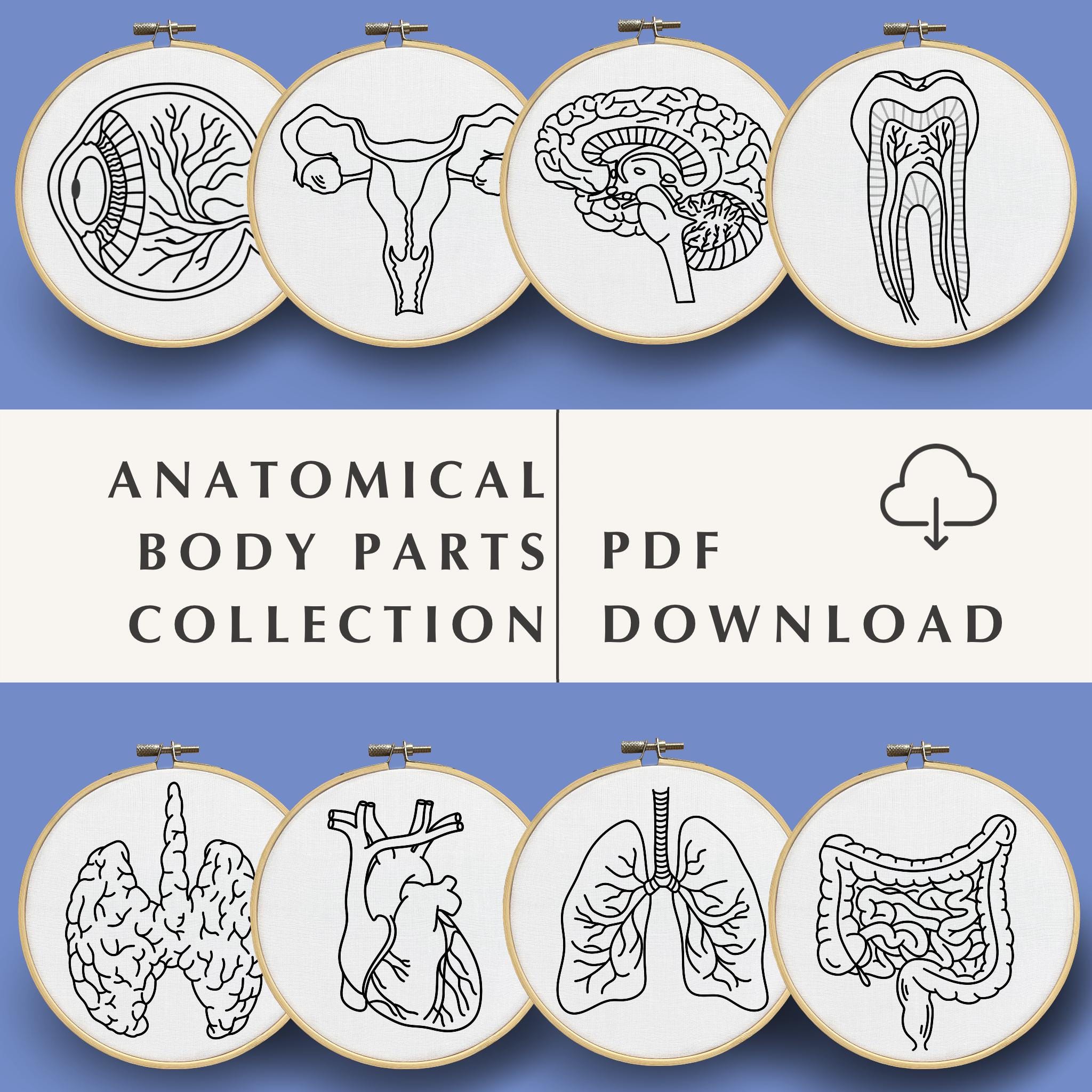 Bundle of Anatomical Body Parts, 8 Hand Embroidery Patterns ...