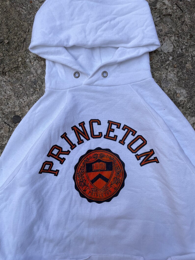 Vintage 1980's Champion Princeton University Graphic Hoodie Sweatshirt ...