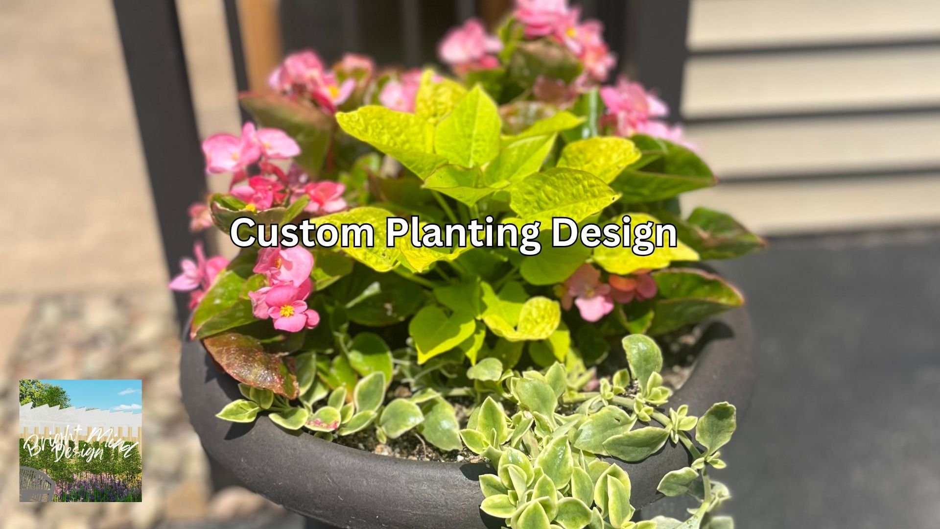 Custom Landscape Design/planting Plan - Etsy