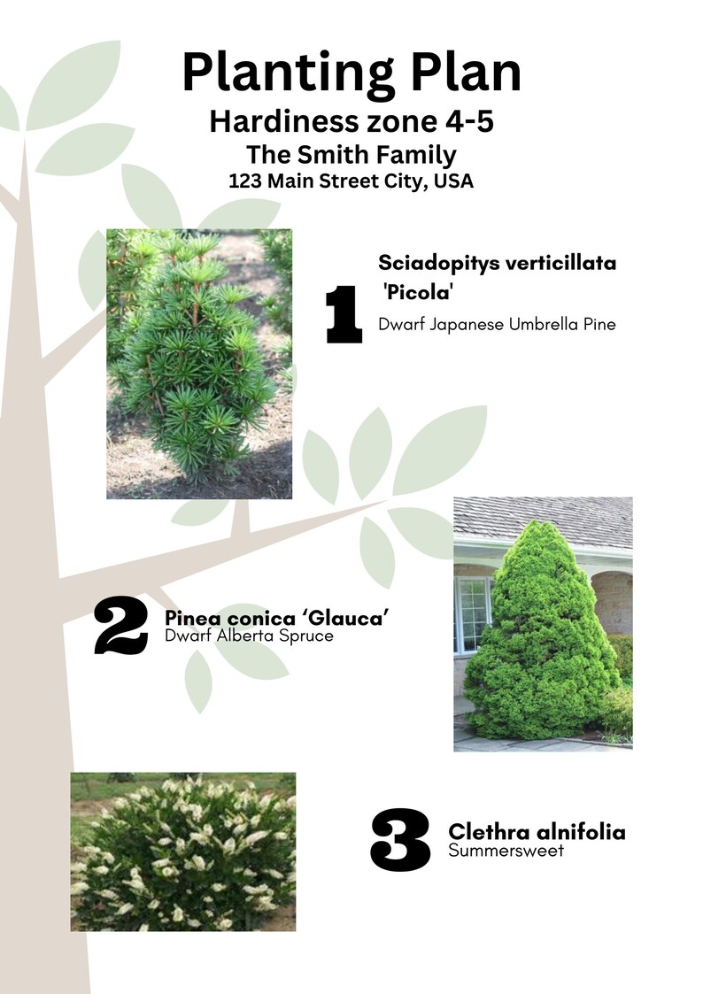 Custom Landscape Design/planting Plan - Etsy