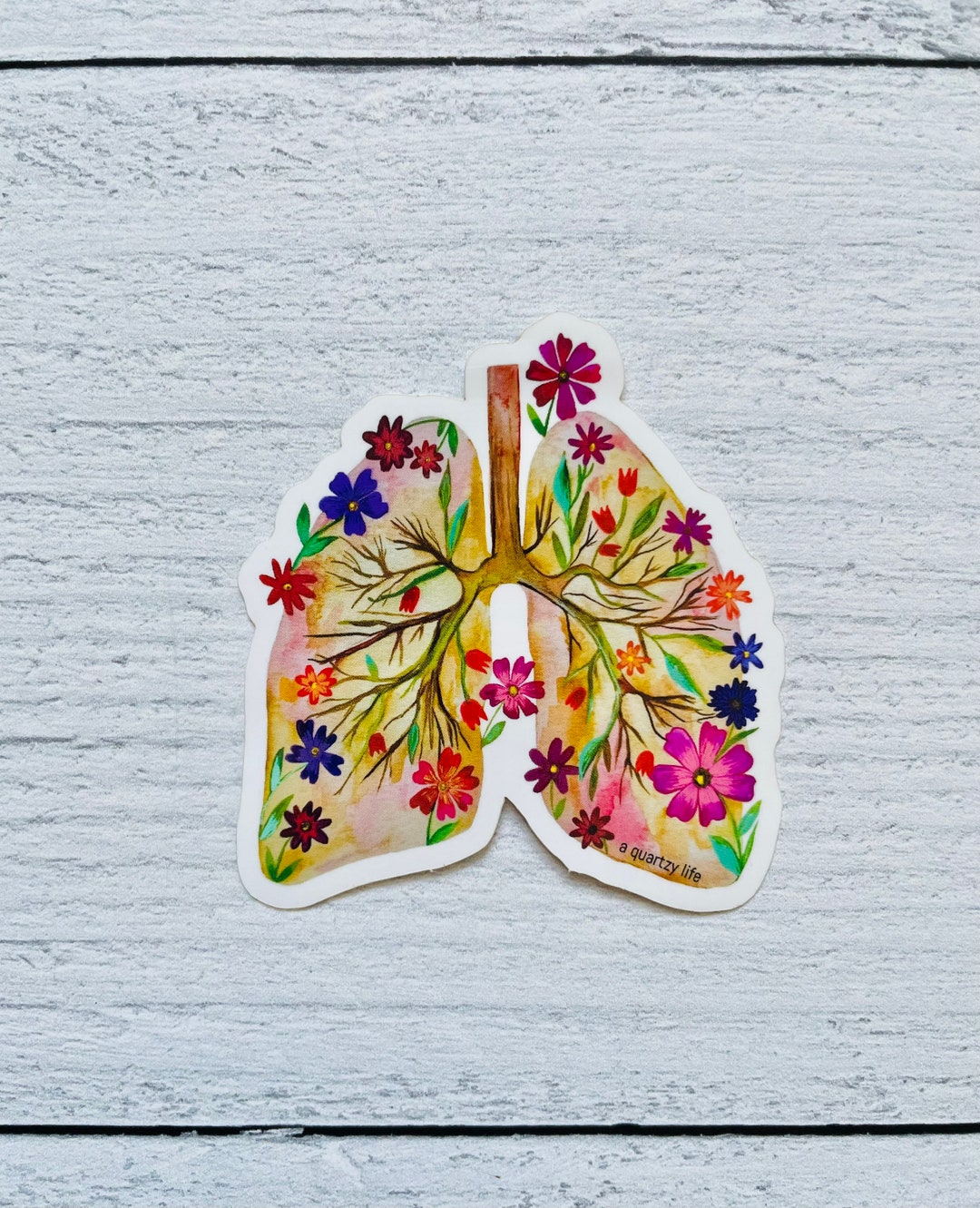 Lungs Sticker | Nurse Sticker | Human Lungs Anatomy Decal for Laptop ...