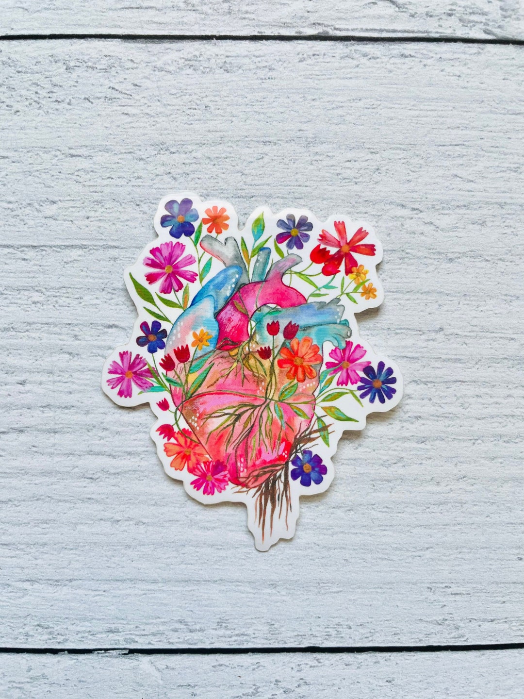 Heart Sticker | Nurse Sticker | Human Heart Anatomy Sticker | Heart ...
