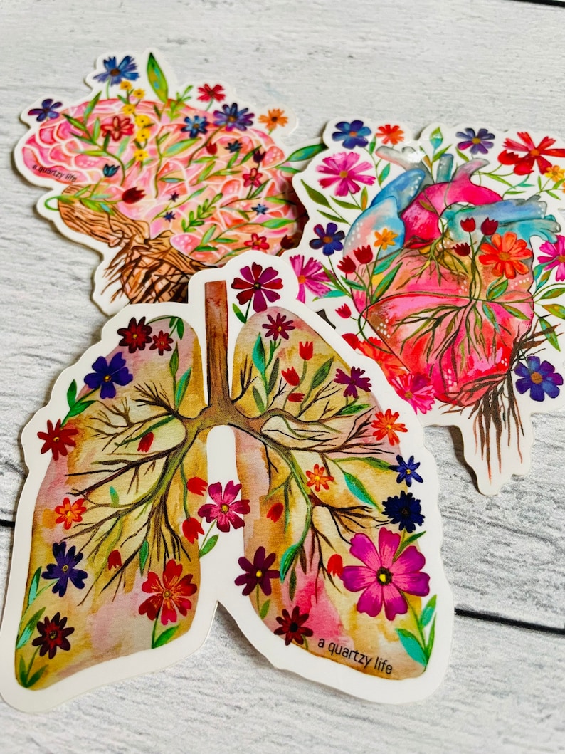Lungs Sticker Nurse Sticker Human Lungs Anatomy Decal for - Etsy
