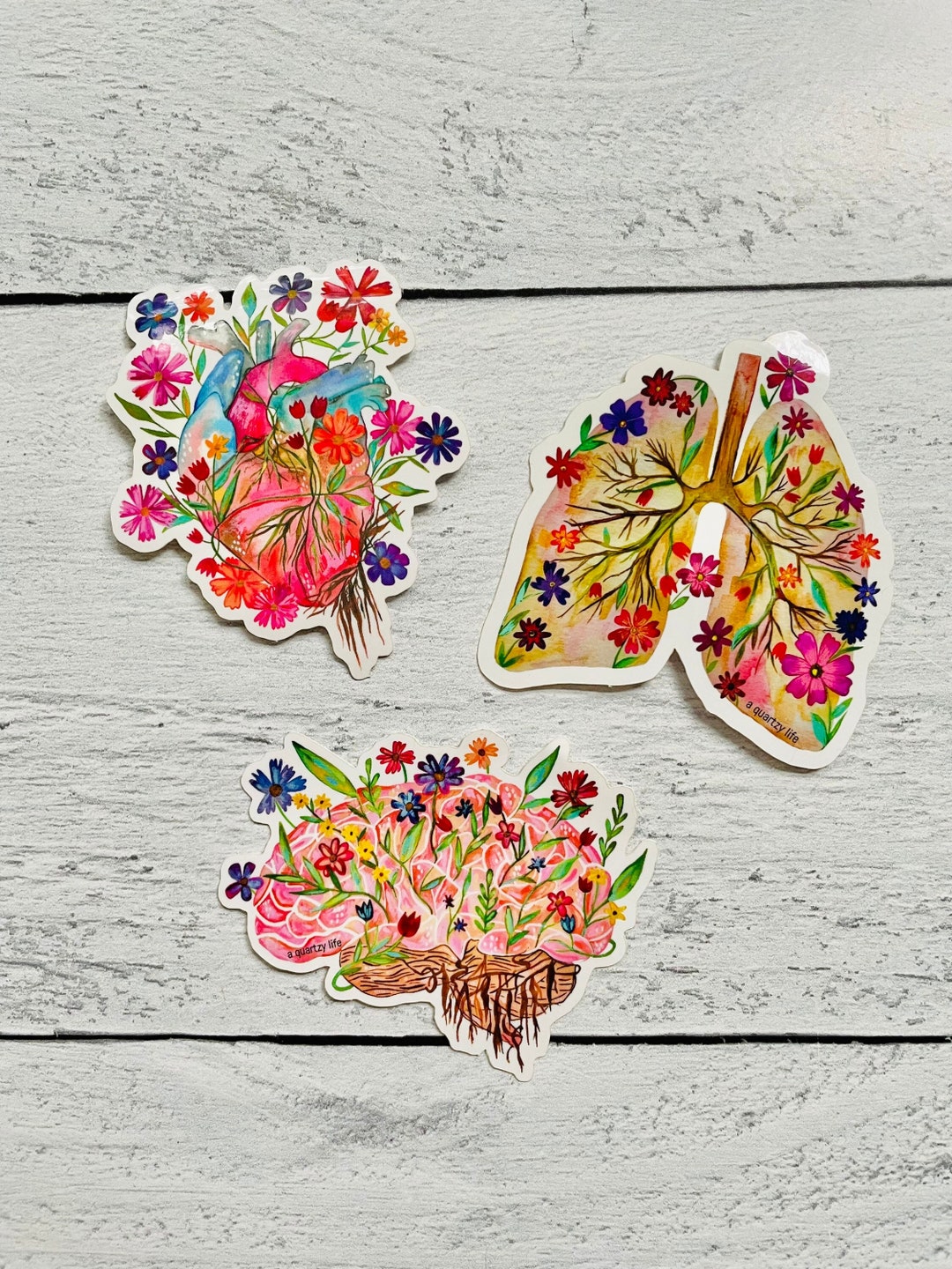 Anatomy Sticker Set | Cute Human Organs Decal | Heart Lungs Brain ...