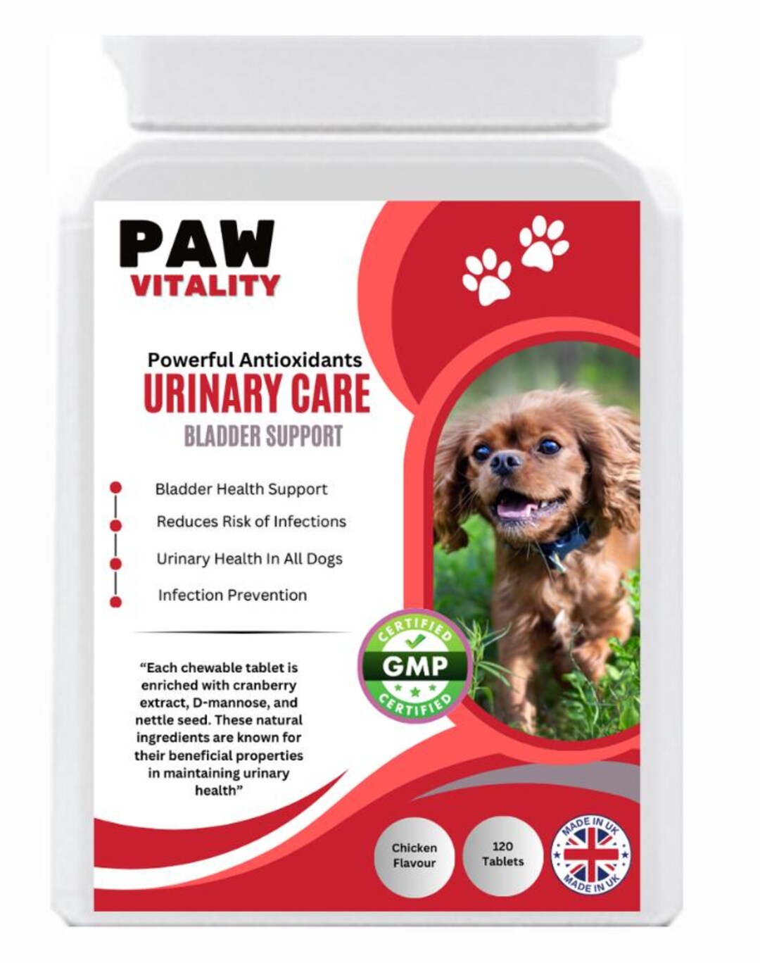 Enhance Your Dog's Bladder Health With Our Natural Urinary Care ...