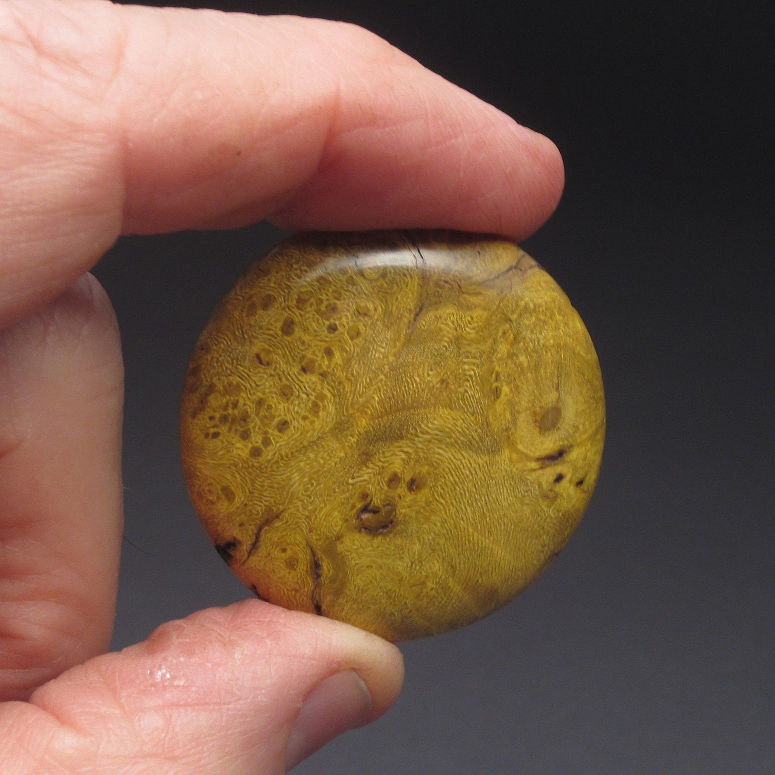 Algerita Burl Wood Button - Etsy