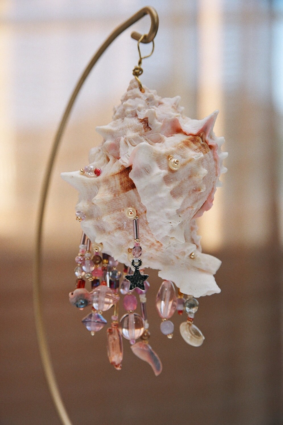 Pink Princess Shell - Etsy