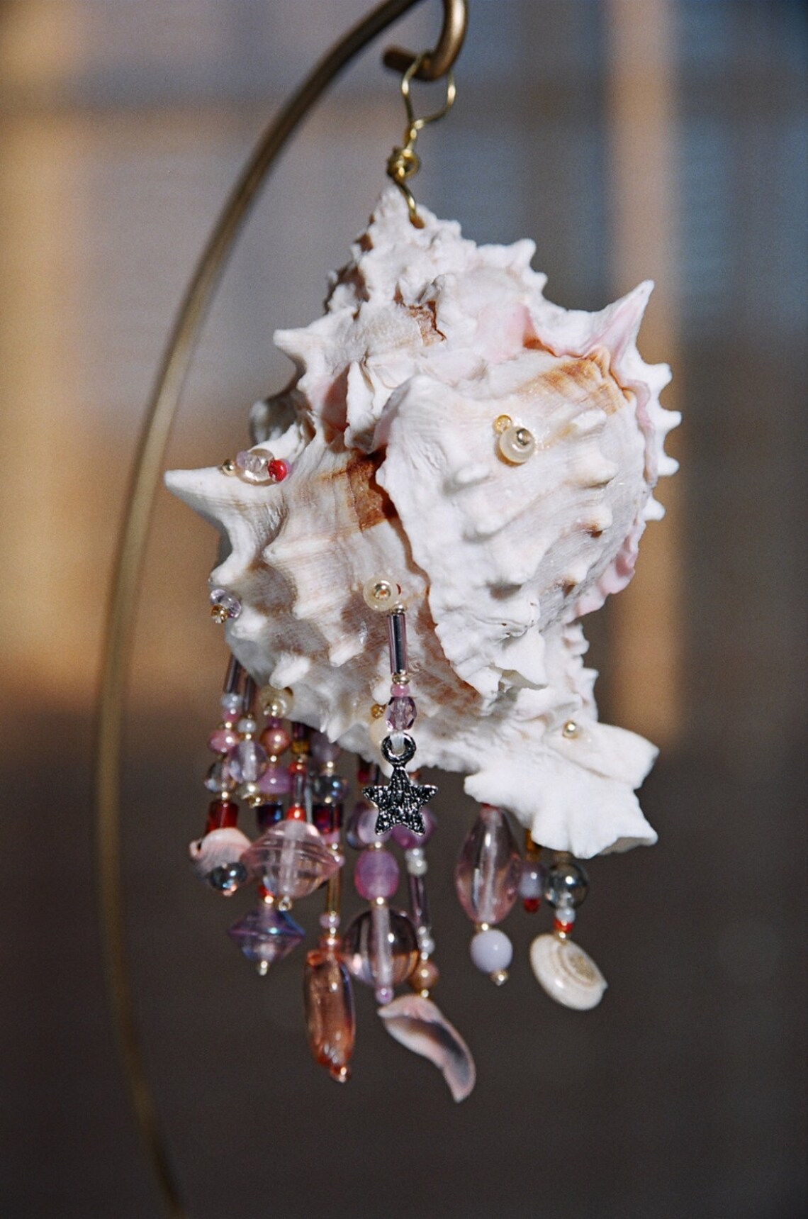 Pink Princess Shell - Etsy