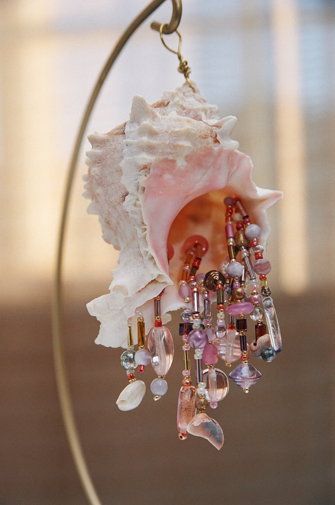 Pink Princess Shell - Etsy