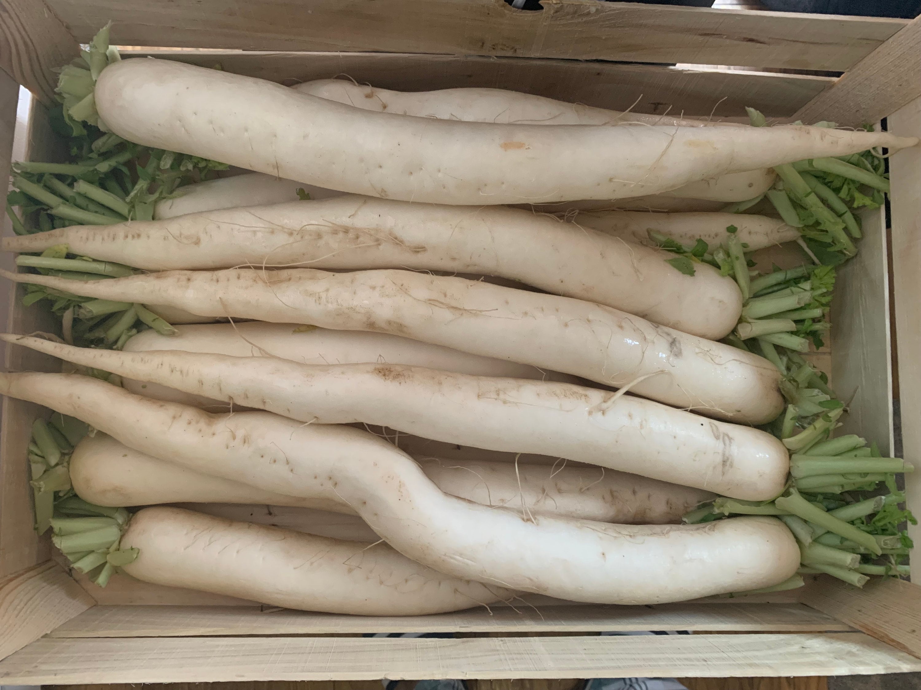 Yonjan's Pickles Home Made Nepali Mula Ko Achar Fermented Radish ...