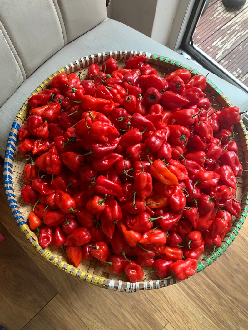 Yonjan's Pickles Home Made Nepali Mula Ko Achar Fermented Radish ...