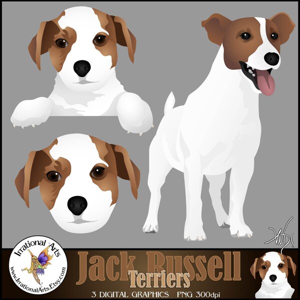 Jack Russell Terrier Clipart - Etsy