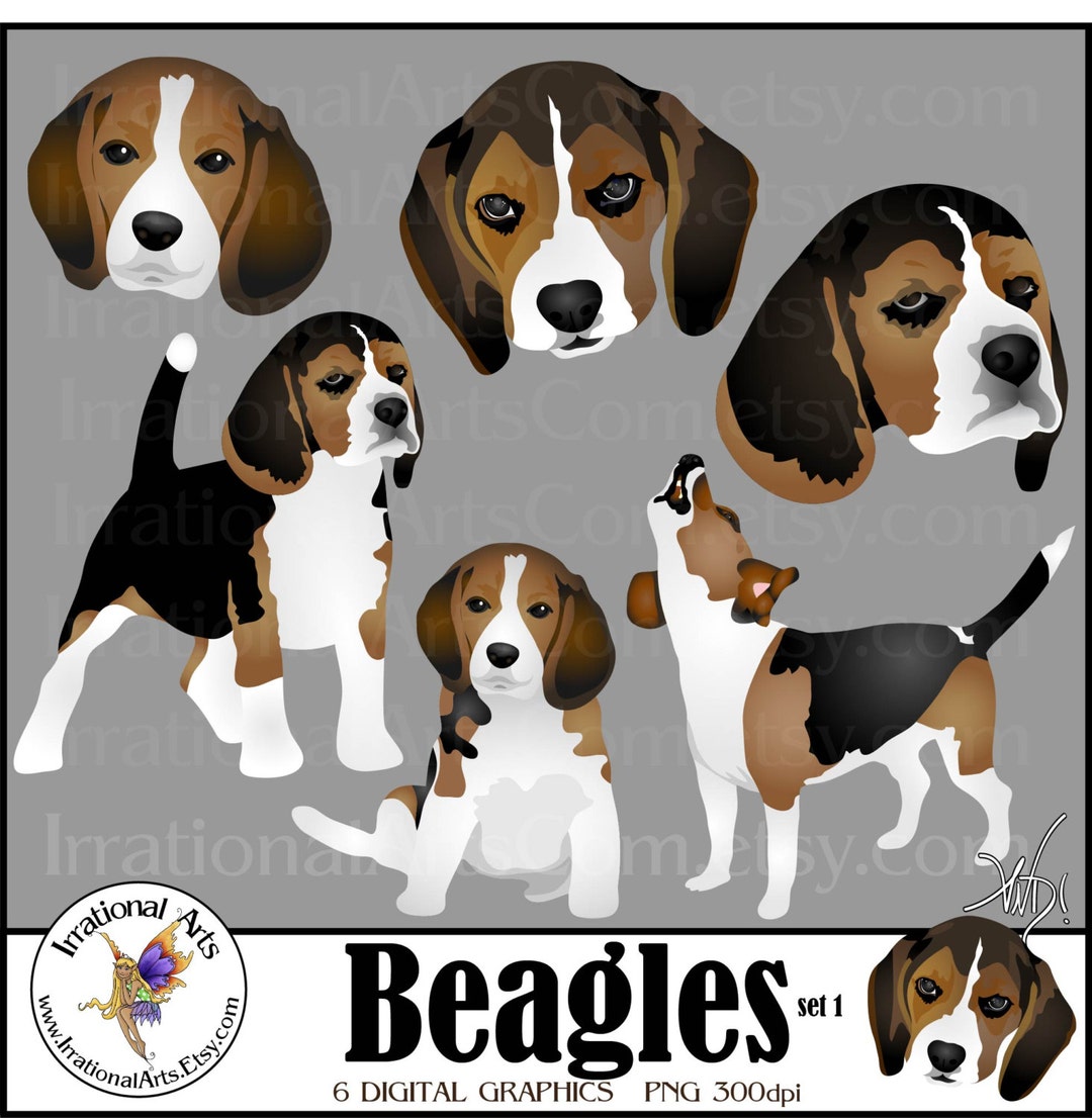 Beagles Dog Graphics Set 1 - 6 Digital Graphics With 3 Beagles and 3 ...