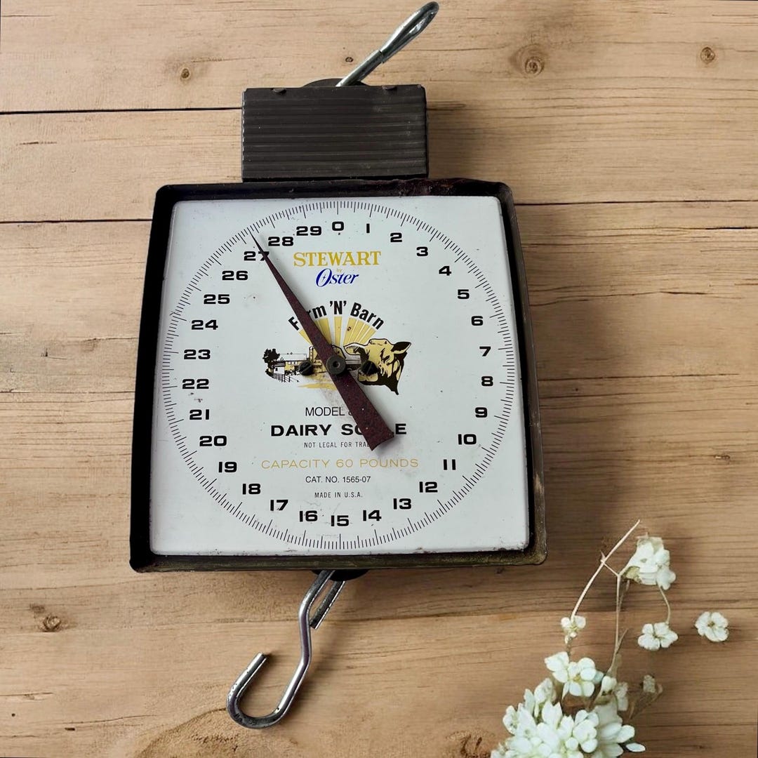 Vintage Hanging Farm Scale/stewart Oster Farm N Barn 60 Lb Scale ...