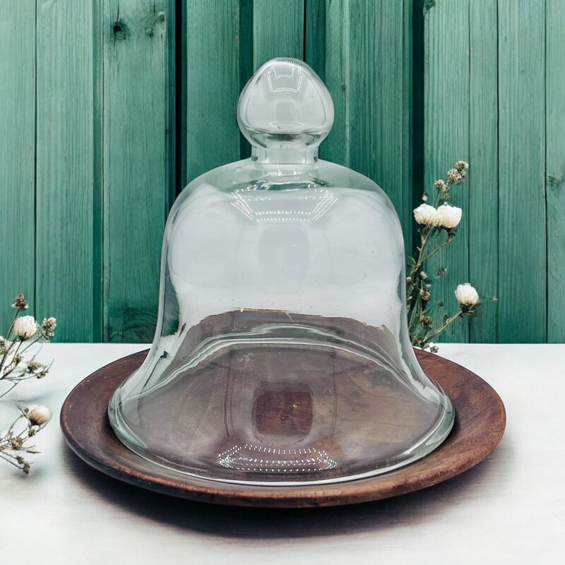 Glass Cloche - Etsy