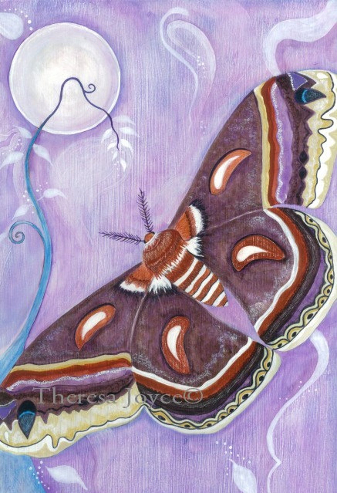 Moth Card, Cecropia Moth Hand Painted - Set of 3 Blank Cards - Etsy