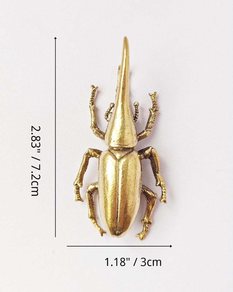 Brass Stag Beetle Figurine, Brass Rhinoceros Beetle Figurine, Brass ...