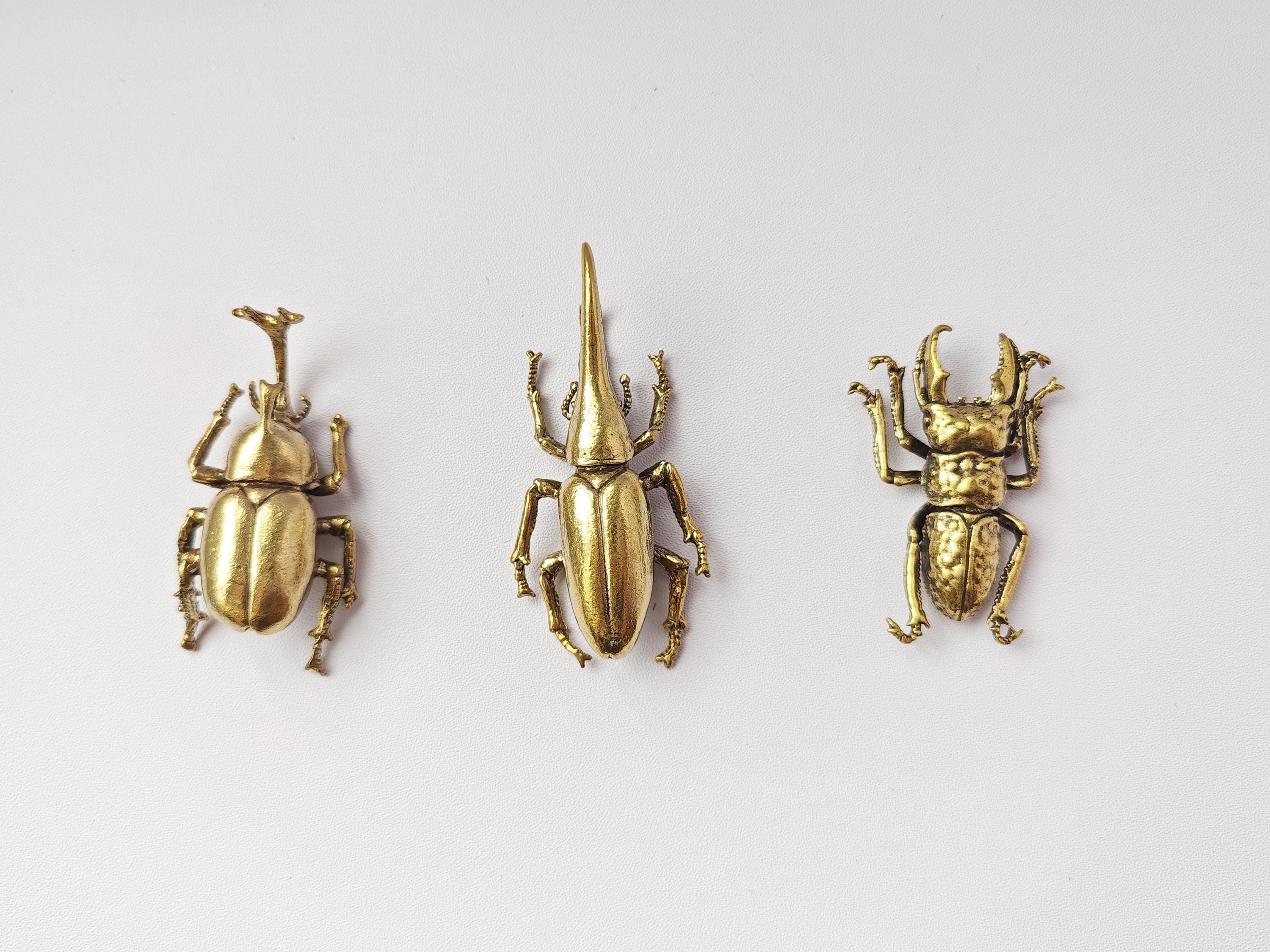 Brass Stag Beetle Figurine, Brass Rhinoceros Beetle Figurine, Brass ...