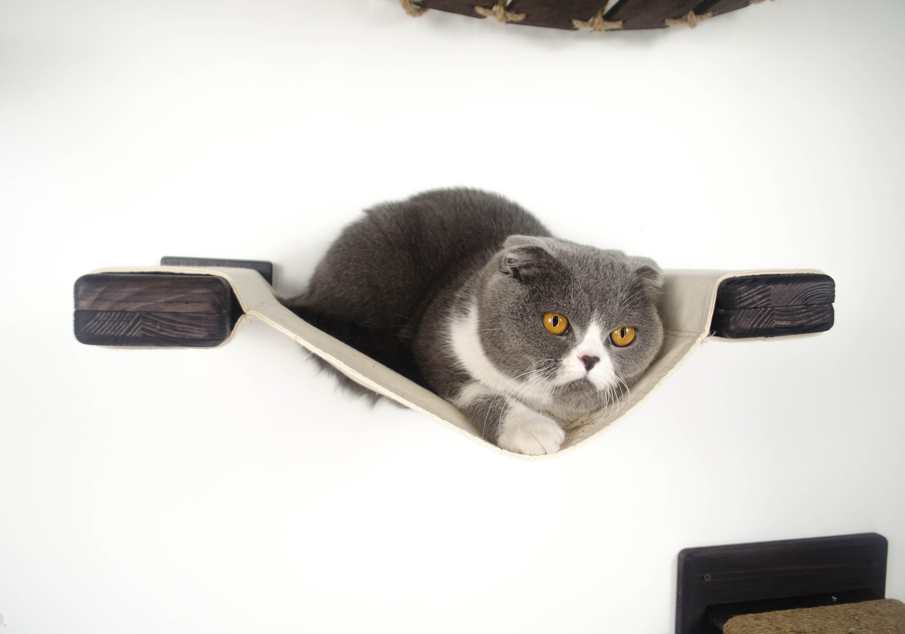 Modern Cat Wall Furniture, Natural Wood Cat Climbing Set, Cat Wall ...