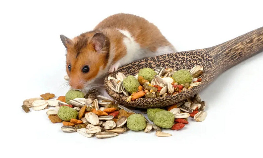 Organic Premium Quality Hamster Food Syrian Hamster Food Mix ...