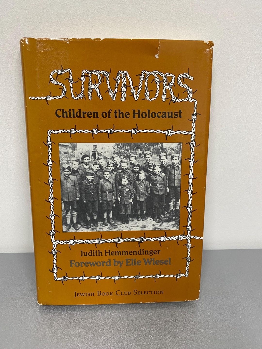 Survivors Children of the Holocaust Judith Hemmendinger Hardback Book ...