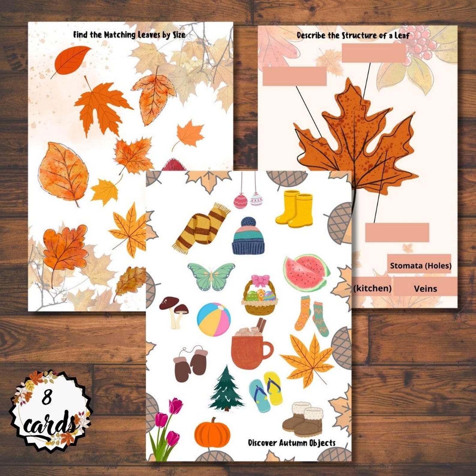 Autumn - Educational Flashcards, Preschool Set for Toddlers, Learning ...