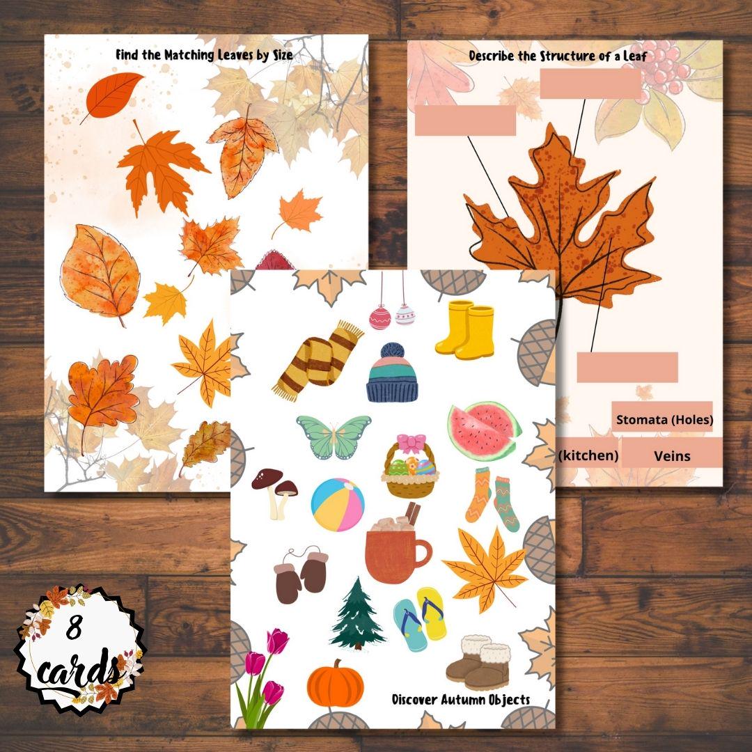 Autumn - Educational Flashcards, Preschool Set for Toddlers, Learning ...