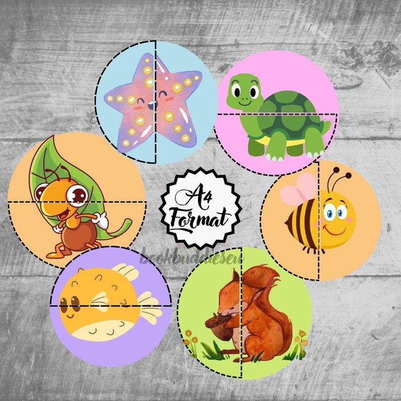 Ocean Forest Animals Matching Game for Kids ,mollusks, Worms Ducks ...