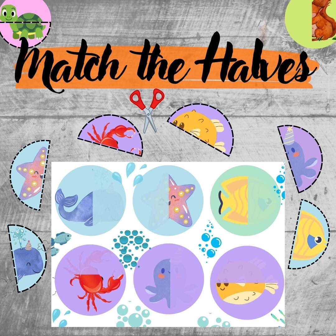 Ocean Forest Animals Matching Game for Kids ,mollusks, Worms Ducks ...