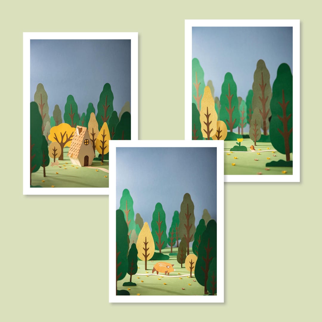 WILD BOAR PACK 3 Photographs - Etsy