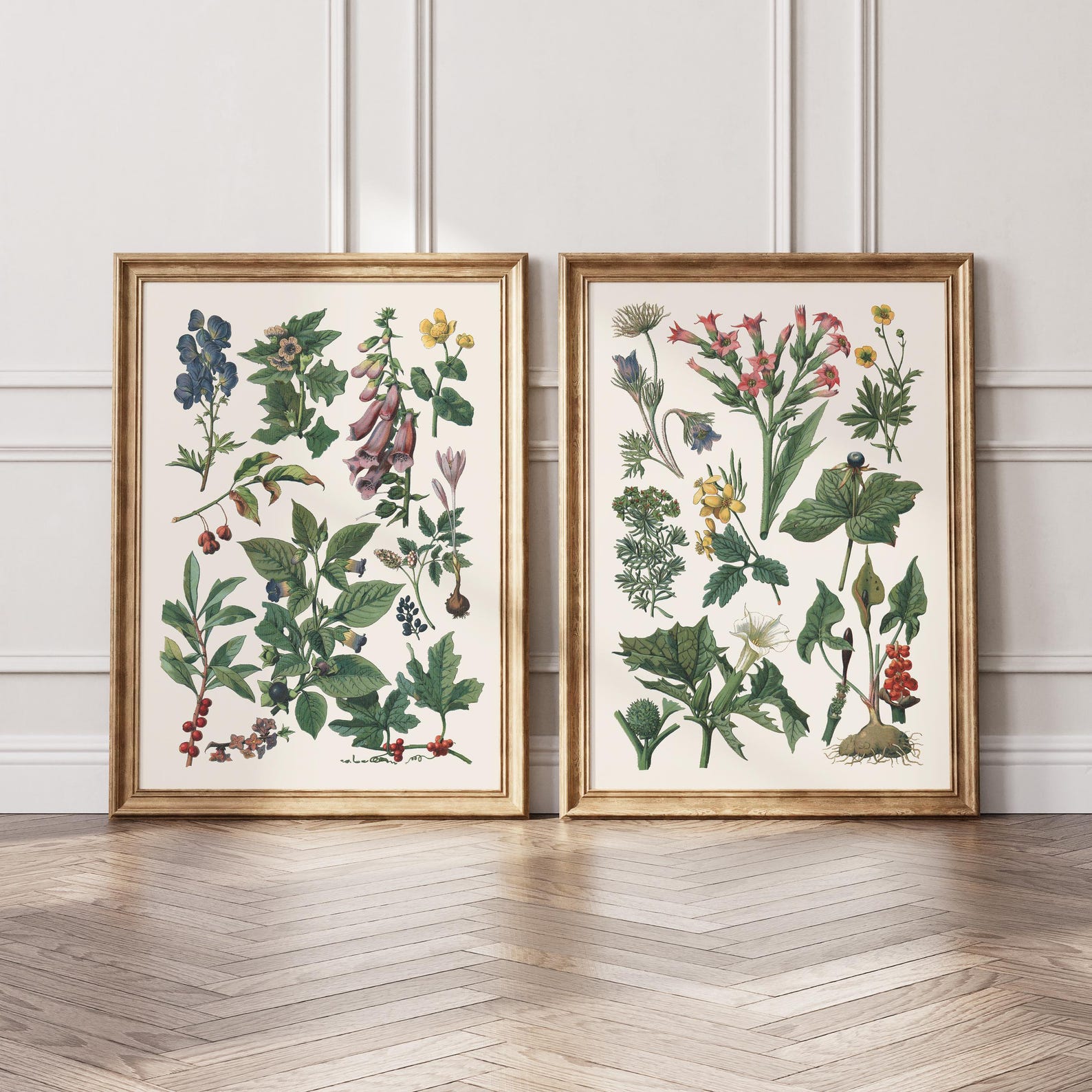 Set of Antique Botanical Flowers Wall Art | Physical Print Pair - Etsy