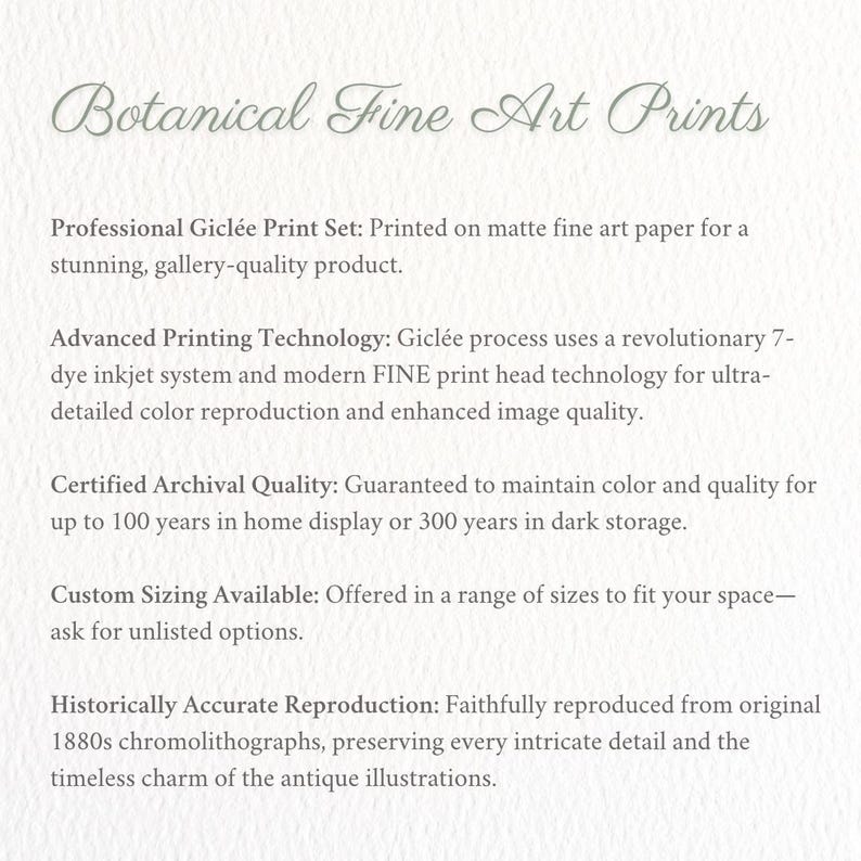 Set of Antique Flora Botanical Wall Art Physical Print Pair - Etsy