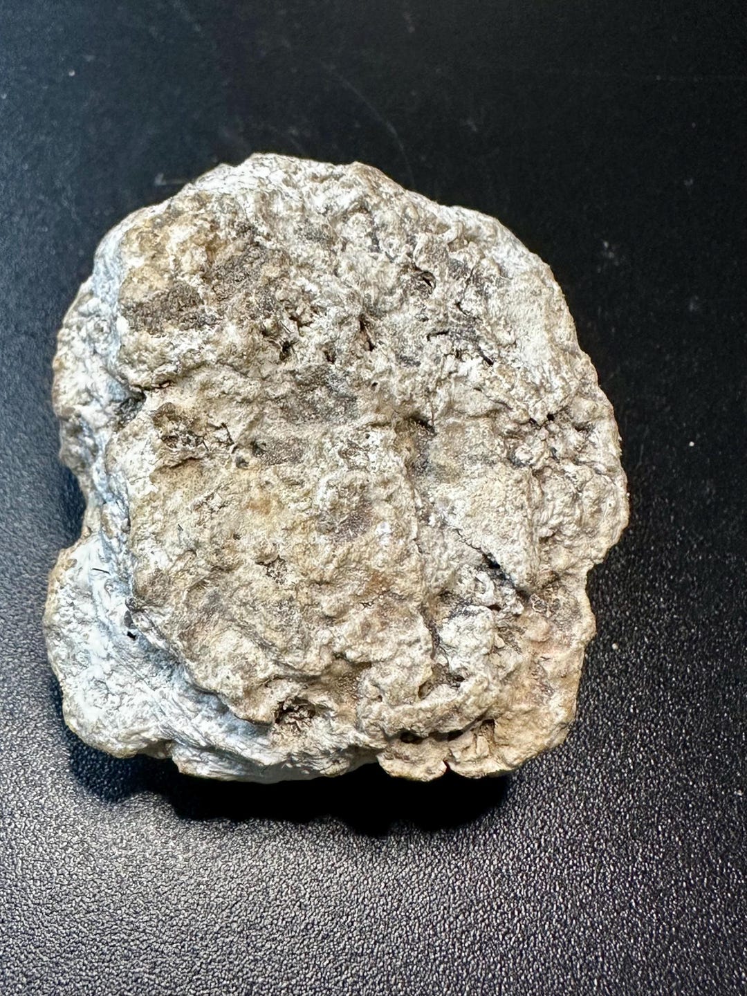 100% Sperm Whale Ambergris. - Etsy