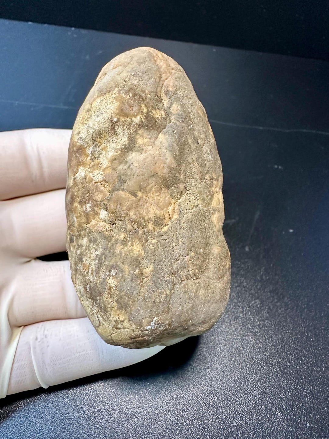 100% Natural Sperm Whale Ambergris. - Etsy