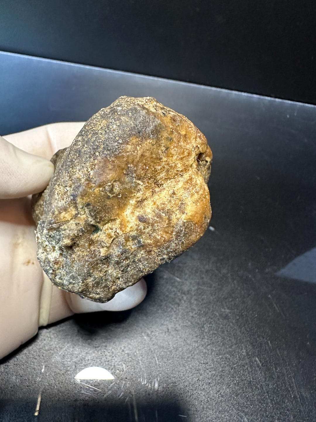 Sperm Whale Ambergris . Amber Gris - Etsy