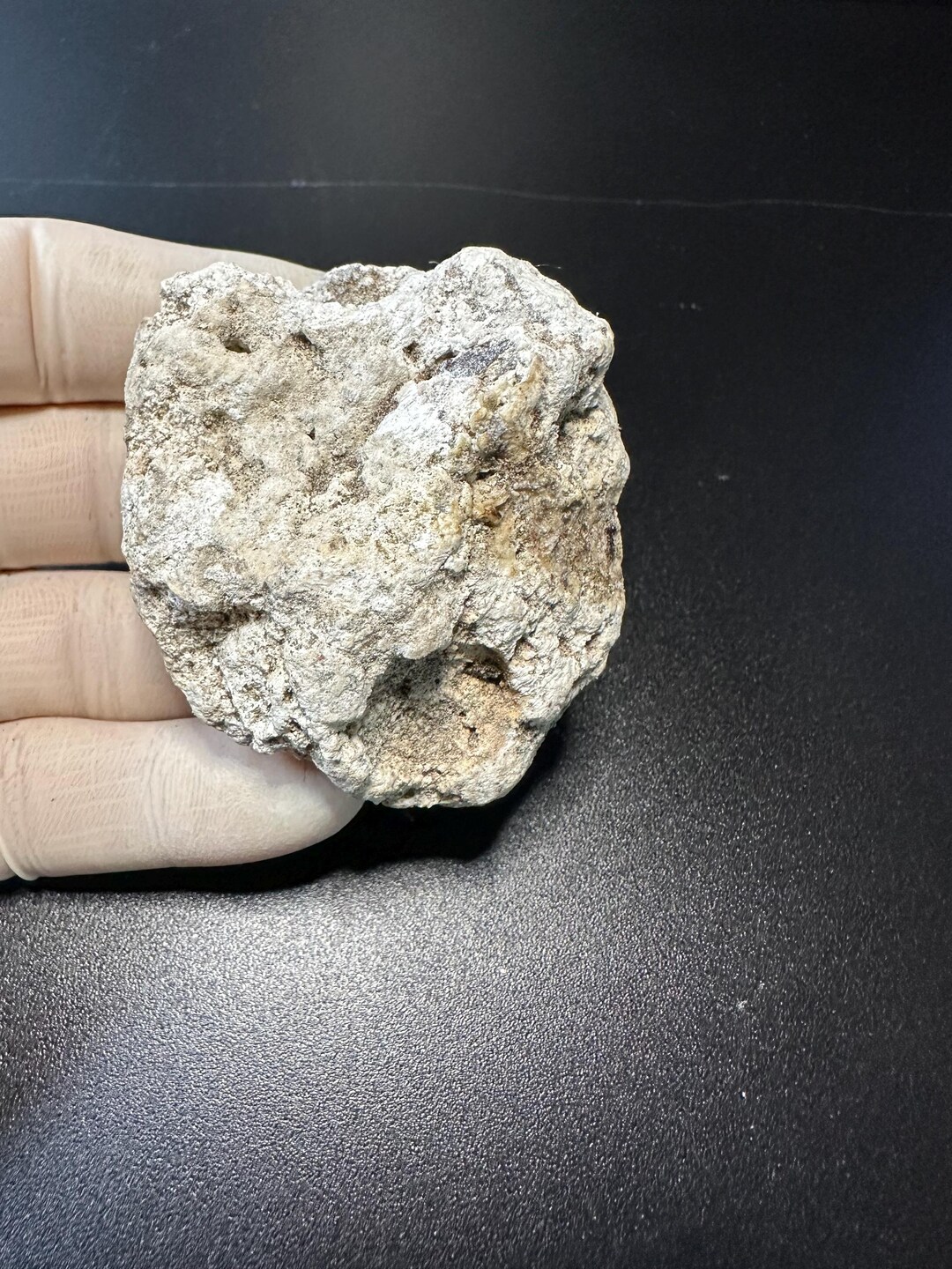 100% Sperm Whale Ambergris. - Etsy