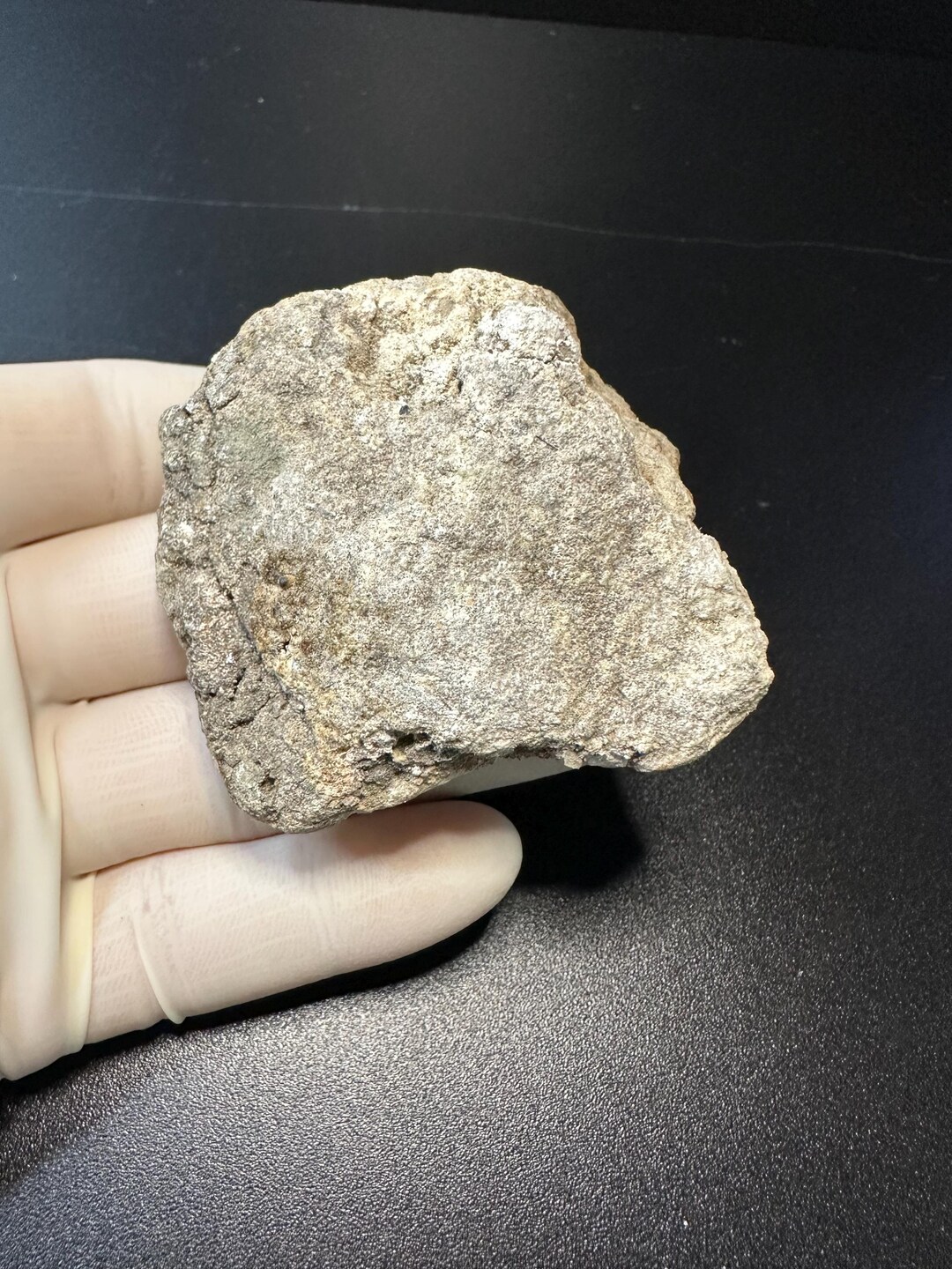 100% Sperm Whale Ambergris. - Etsy