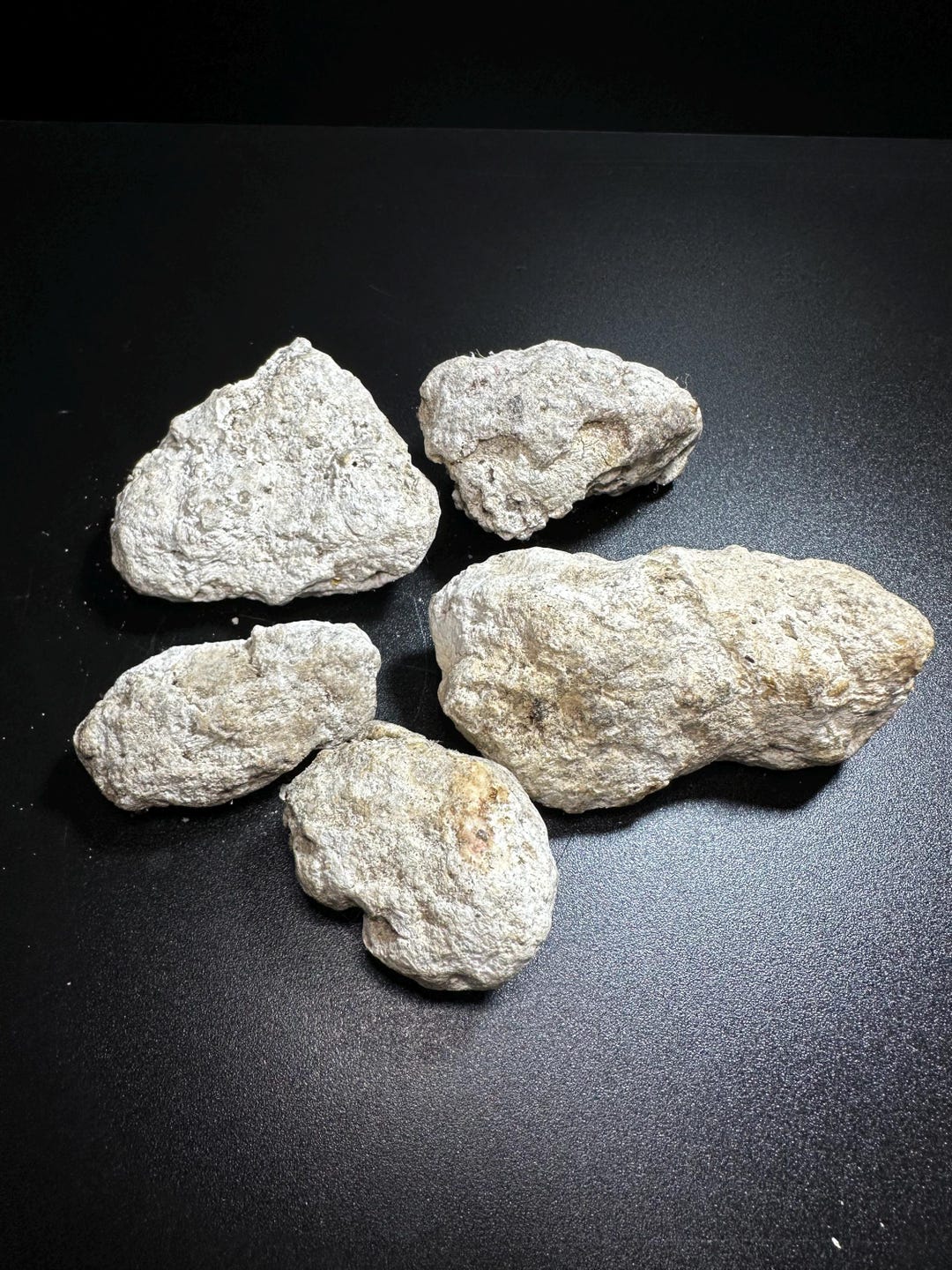 Ambergris - Ambergris - Etsy