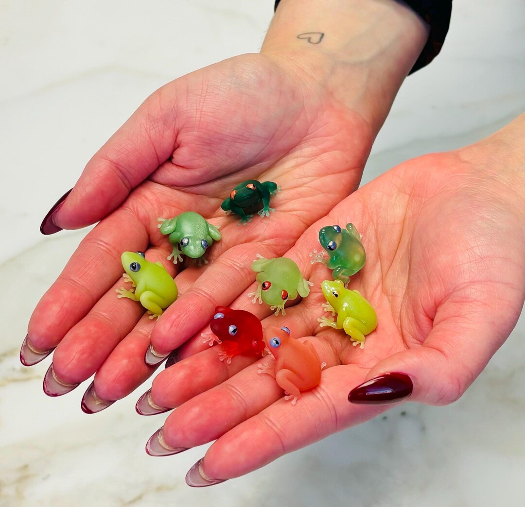Mystery Frog - Blind Bag - Etsy