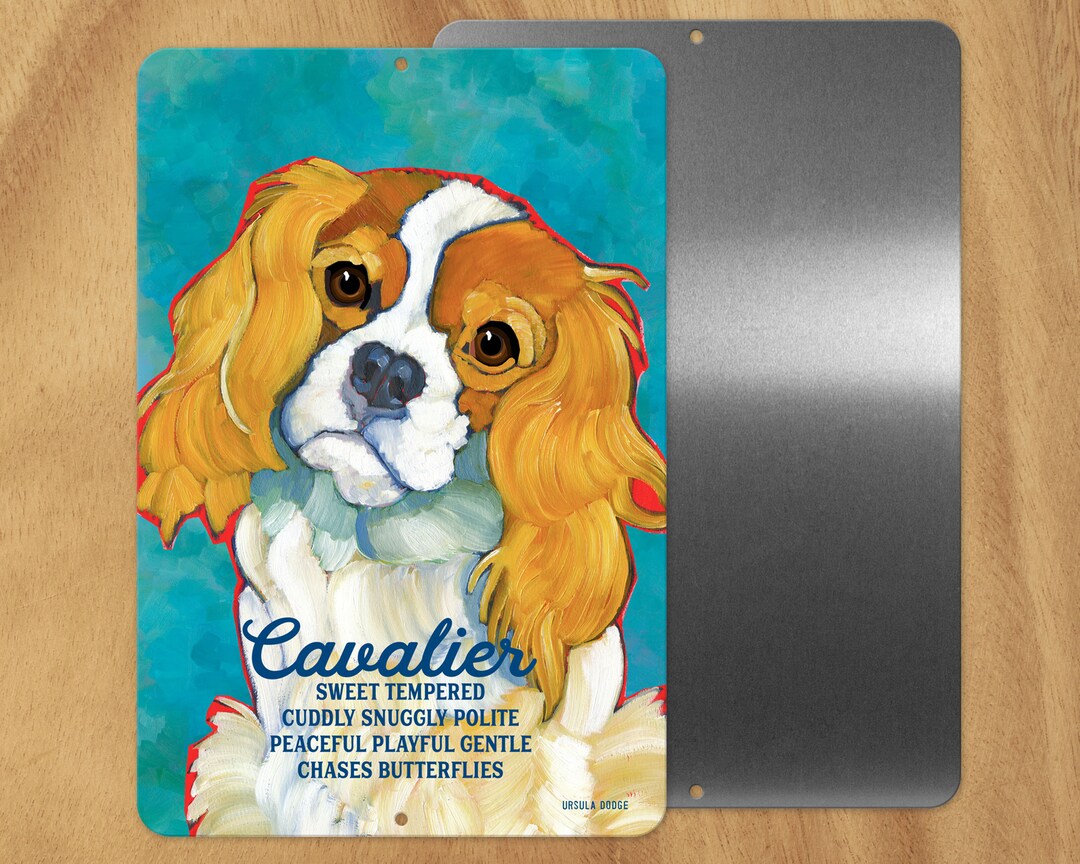 Cavalier King Charles Spaniel Metal Sign,coworker Gift,hostess Gift ...