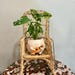Vintage Mini Wicker Chair - Etsy