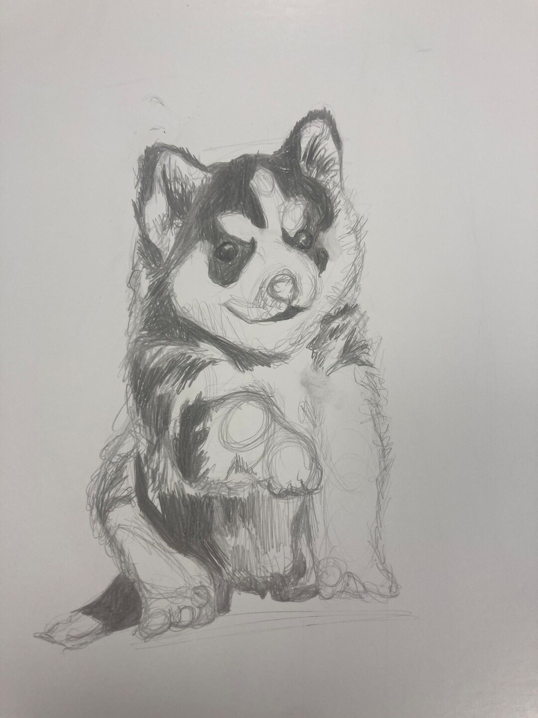 Uconn Jonathan the Husky Pencil Drawing - Etsy