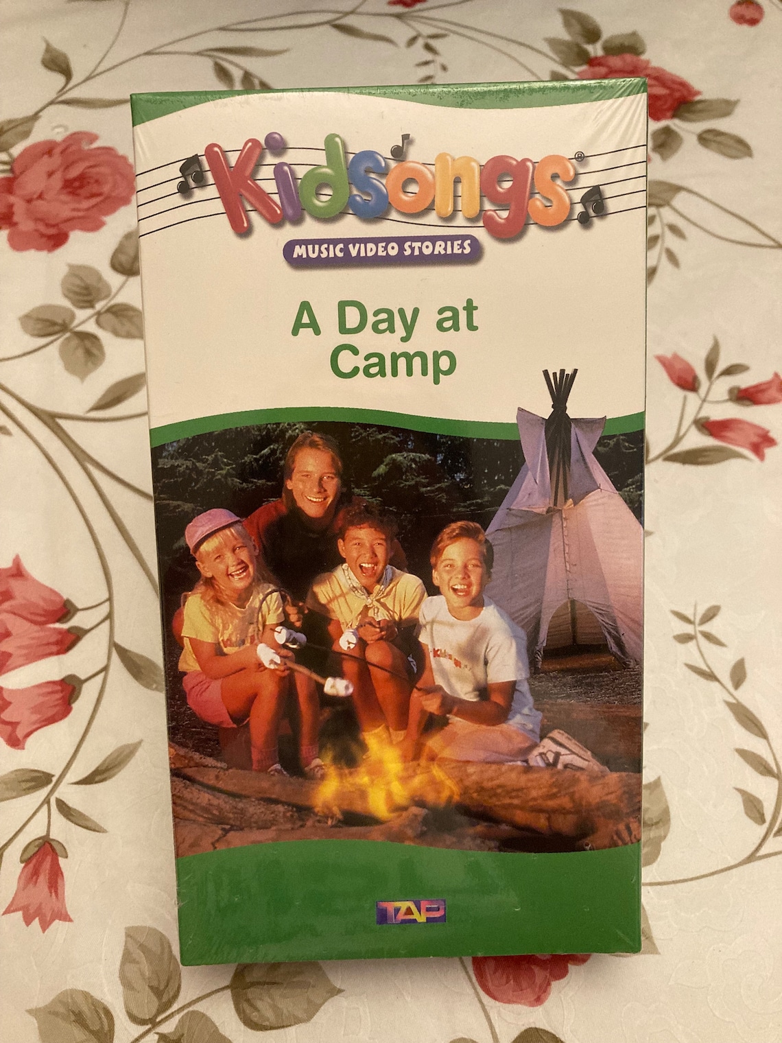 Kidsongs A Day at Camp VHS - Etsy